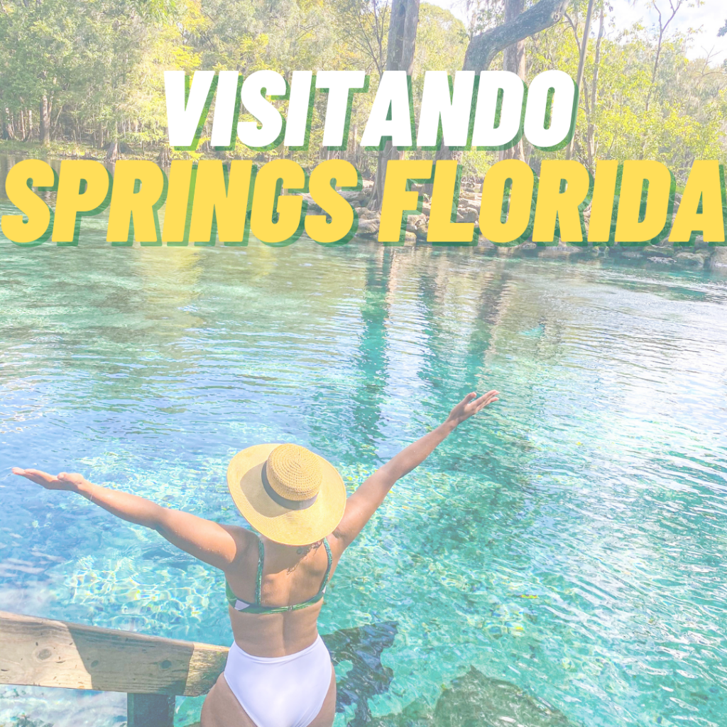 Visitando Springs na Flórida - Ginnie, Blue e Alexander - Camilli Viaja